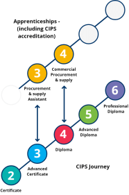Procurement CIPS Training